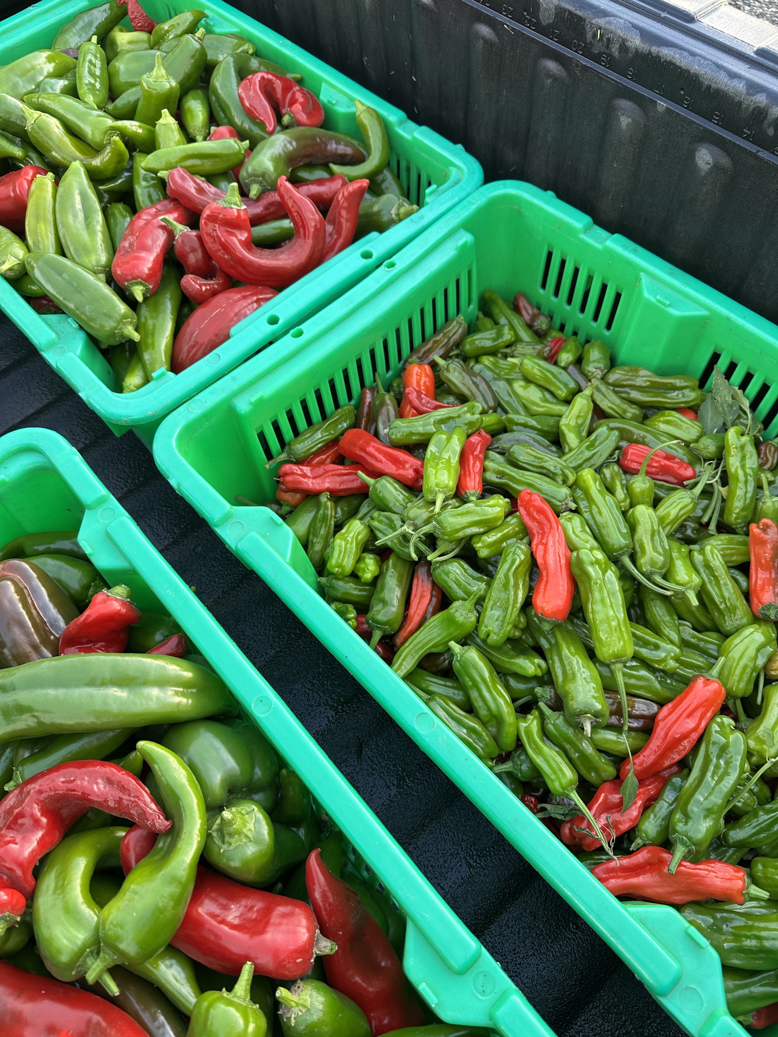 Local Food Purchase Assistance (LFPA) Program - Blue Lake Rancheria